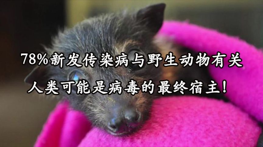 78%新发传染病与野生动物有关,人类可能是病毒的最终宿主?