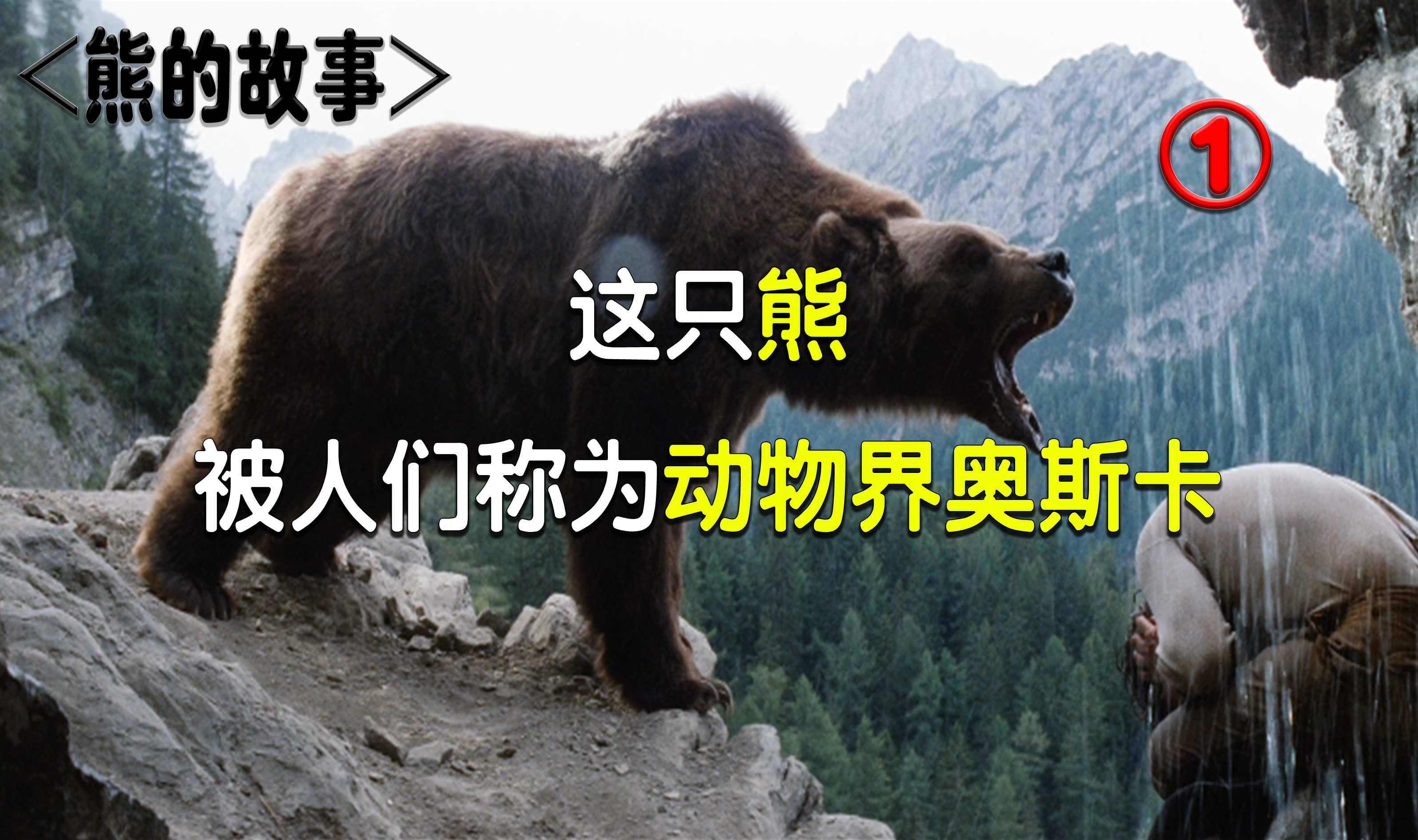 一部主角是熊的电影,这只熊,被称为动物界奥斯卡。