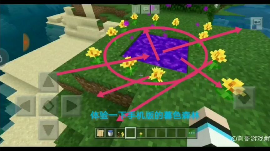 我的世界:手机版暮色森林