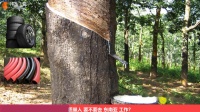质量人 要不要去 东南亚 工作?质量管理 品质管理 质检 检验 ISO9001 ...