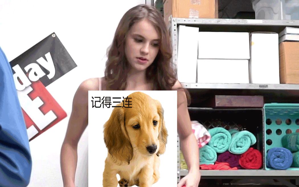 狩猎行动 On the hunt v1.0 汉化版【PC+安卓/370M/新作】【沙盒真人...