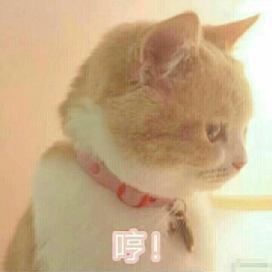 一梦方醒l 