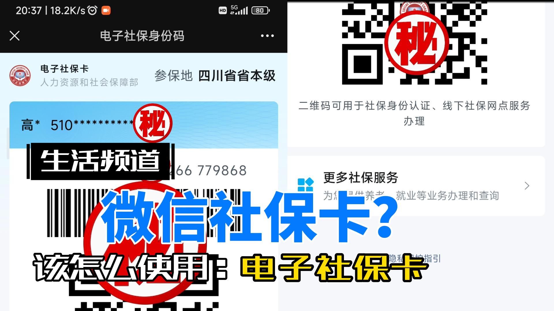 微信电子社保卡,该怎么申请和使用