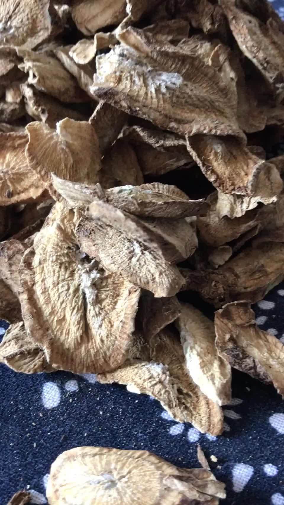 中药牛蒡根哪些人不能用?