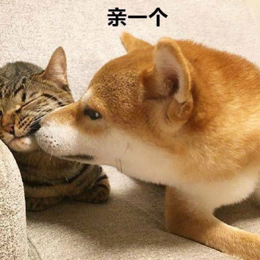 凤凰笑 