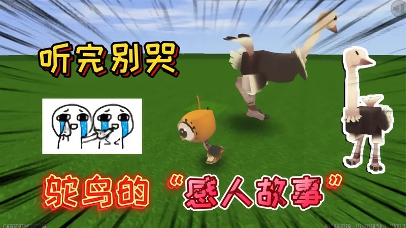 迷你世界:听完不要哭泣,野生鸵鸟的“感人故事”主播听完泪目了