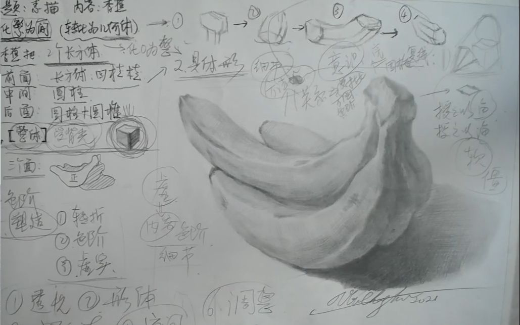 【素描静物教程】水果结构素描,新手必要,一学就会的教程,还不进来看看