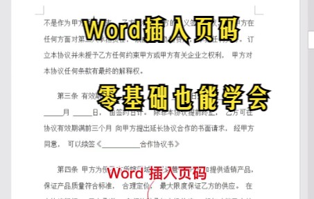 【Word技巧】Word如何插入页码?你也能学会!