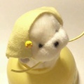 小樱桃吖