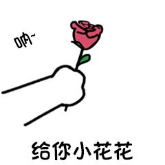 不仅帅气还优秀 