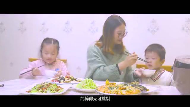 安徽肥东县世昌水稻种植专业合作社宣传片