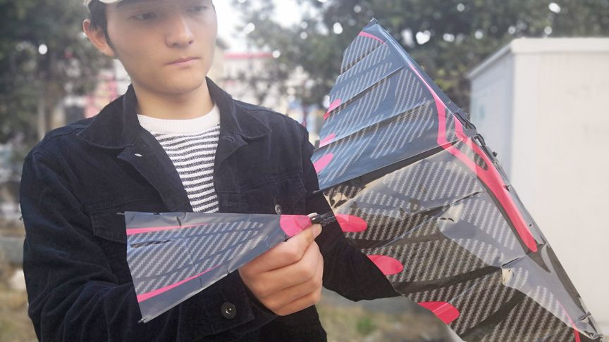 拆箱试玩户外仿生鸟玩具,安装操作很简单,看看飞行效果怎么样吧