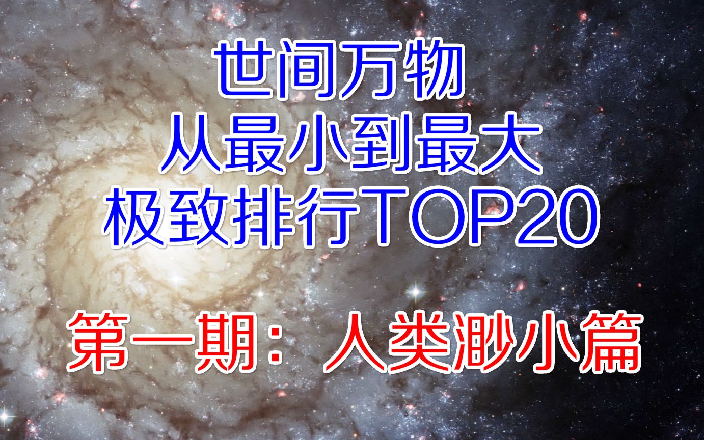【数据可视化】世间万物从小到大的极致排行top20,带你感受宇宙万物...