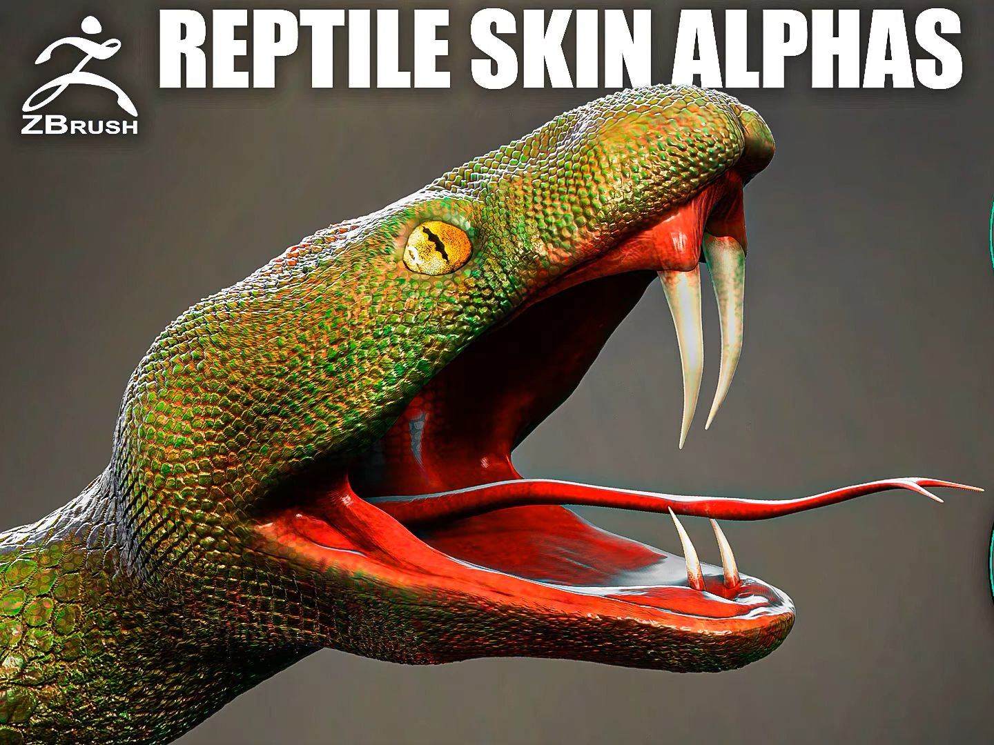 ZBrush素材15款爬行动物蜥蜴鳄鱼蛇鳞片皮肤Alpha笔刷png纹理贴图