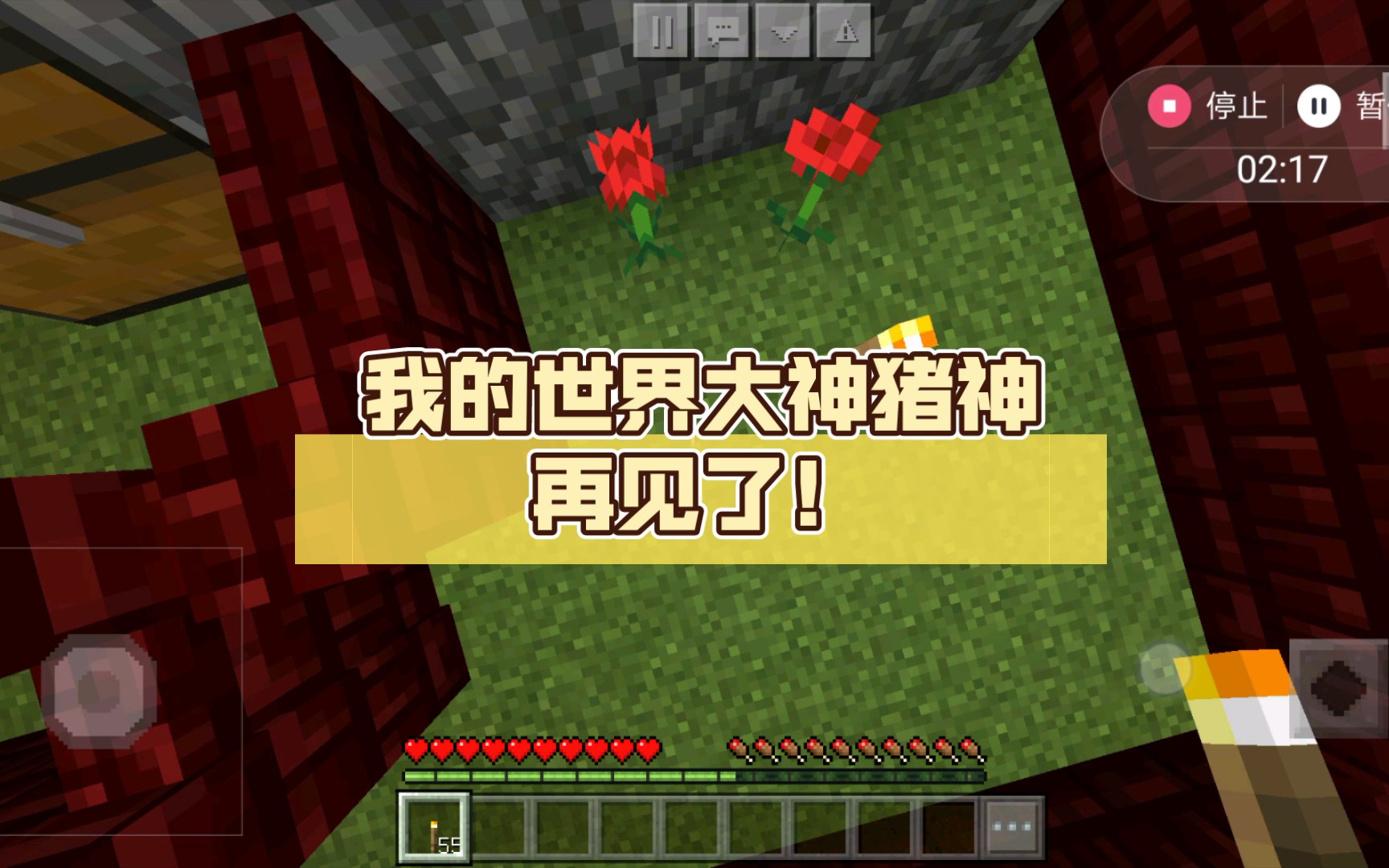 我的世界大神猪神再见了!(请勿看简介)