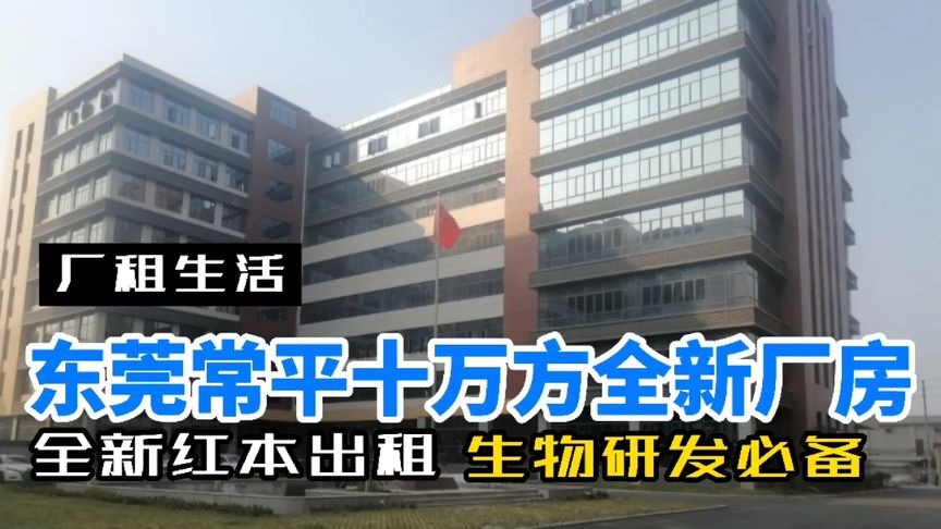 东莞常平四万方全新标准园区厂房出租电子加工医药生物落地必选