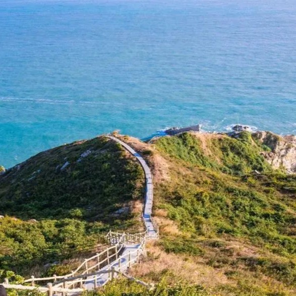 小飞象模型 