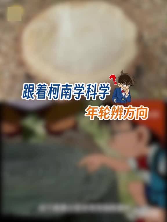 柯南教的野外生存技巧!看树干年轮辨别方向