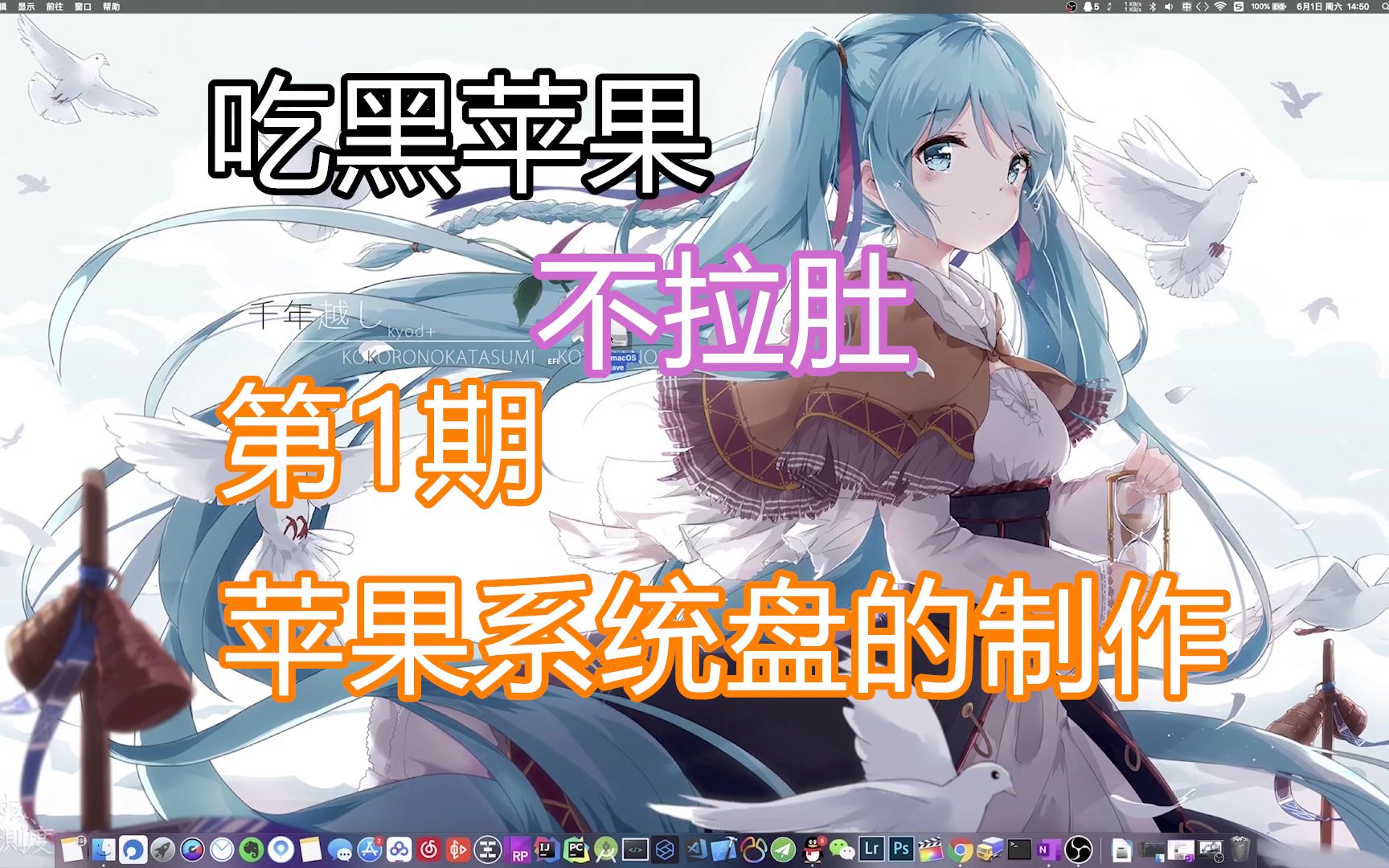 吃黑苹果不拉肚 Mac OS 10.14系统安装教程(一)苹果系统盘的制作