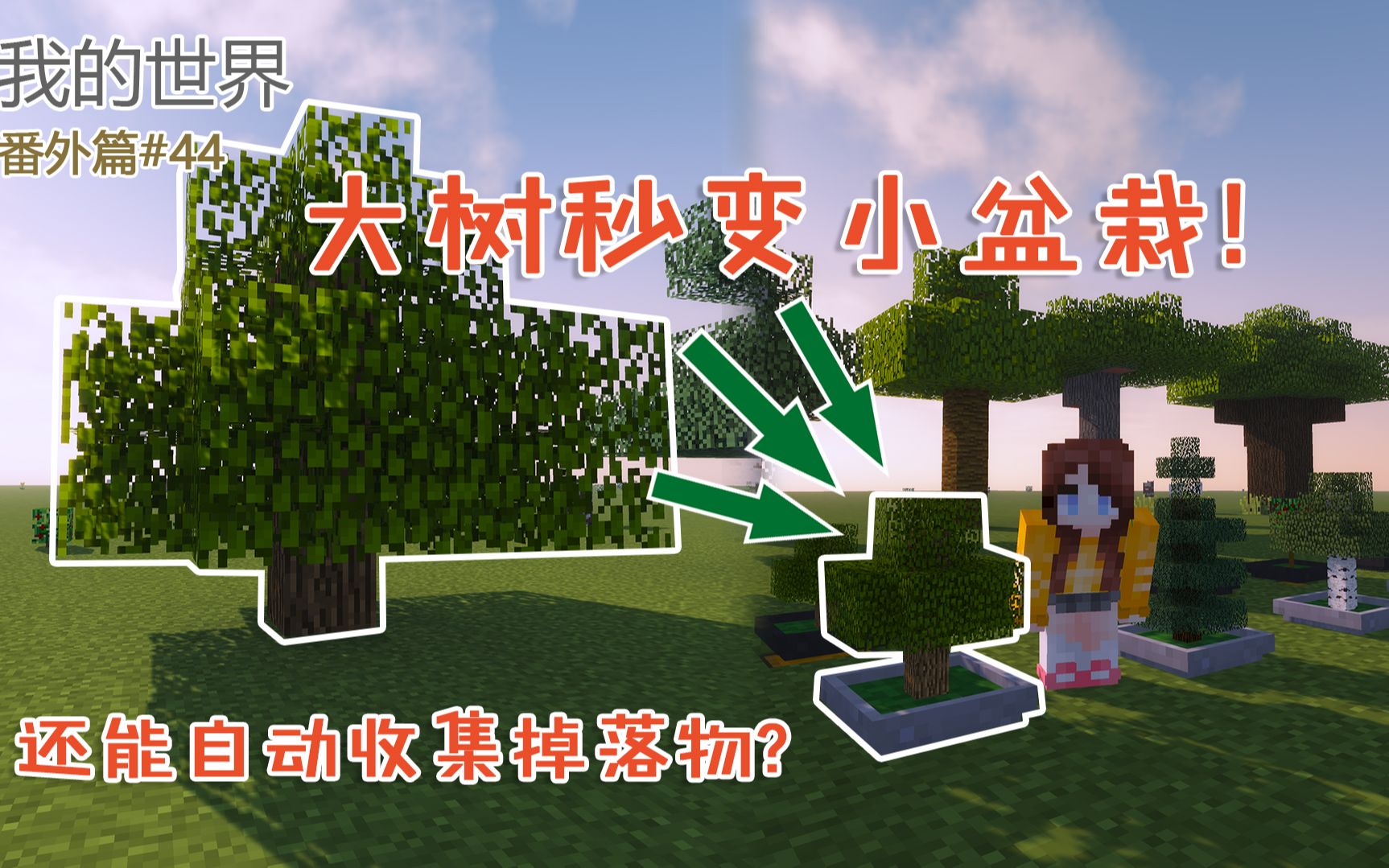 我的世界番外篇44:教你把大树秒变小盆栽!还能自动收集掉落物!