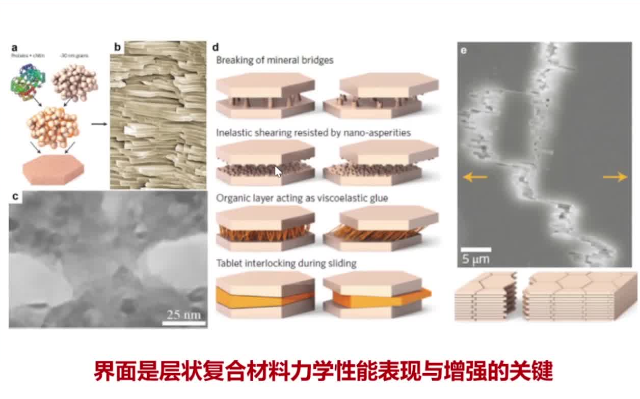 ...航空航天大学赵赫威-高强高韧微纳米复合材料的设计合成及构效关系
