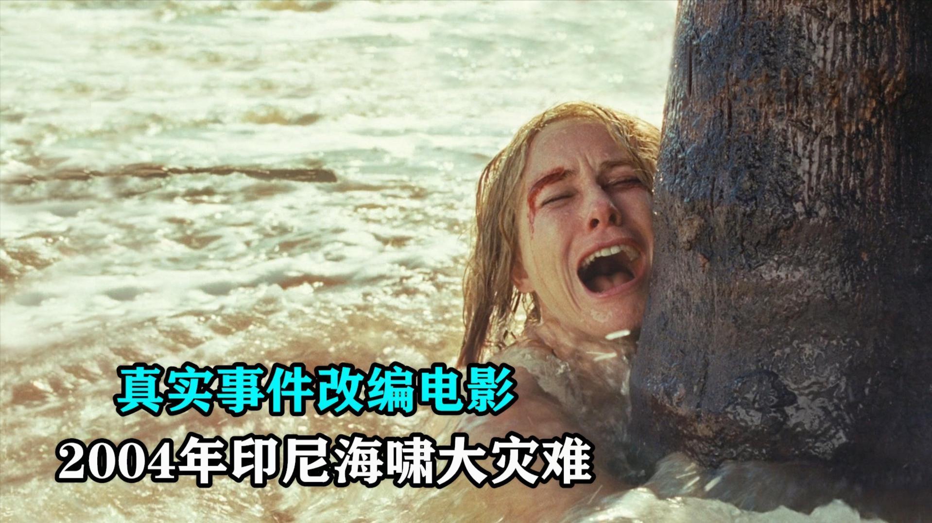 以2004年印尼海啸为原型,灾难造成30万人死亡,真实事件改