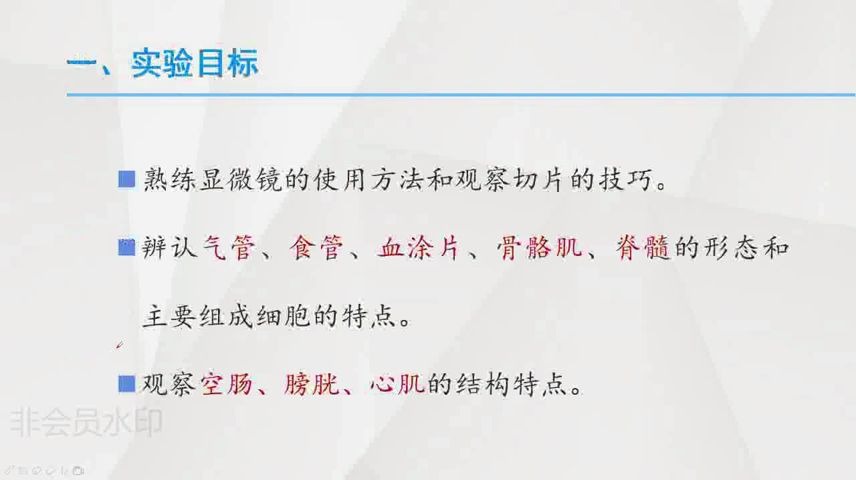组织胚胎学实验一:基本组织