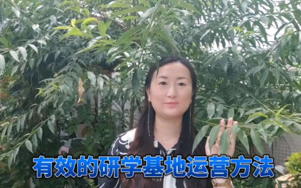 研学旅行这么火,为何经营这么难