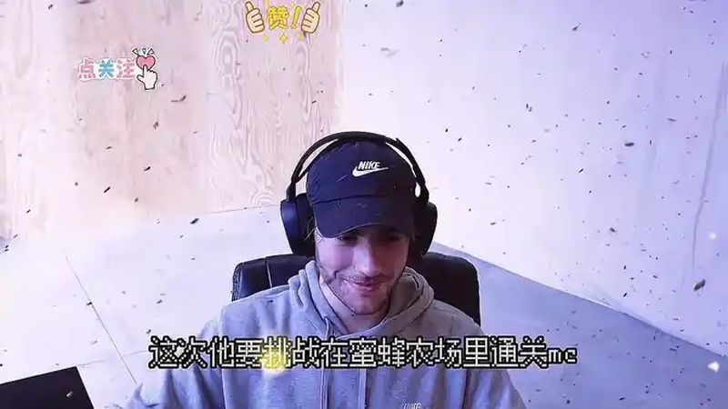 我的世界:sapnap挑战在蜜蜂包围下通关mc
