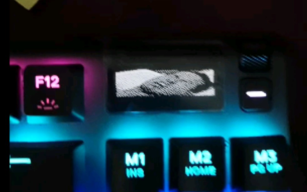 恶臭键盘赛睿apex Pro tkl电磁轴开箱