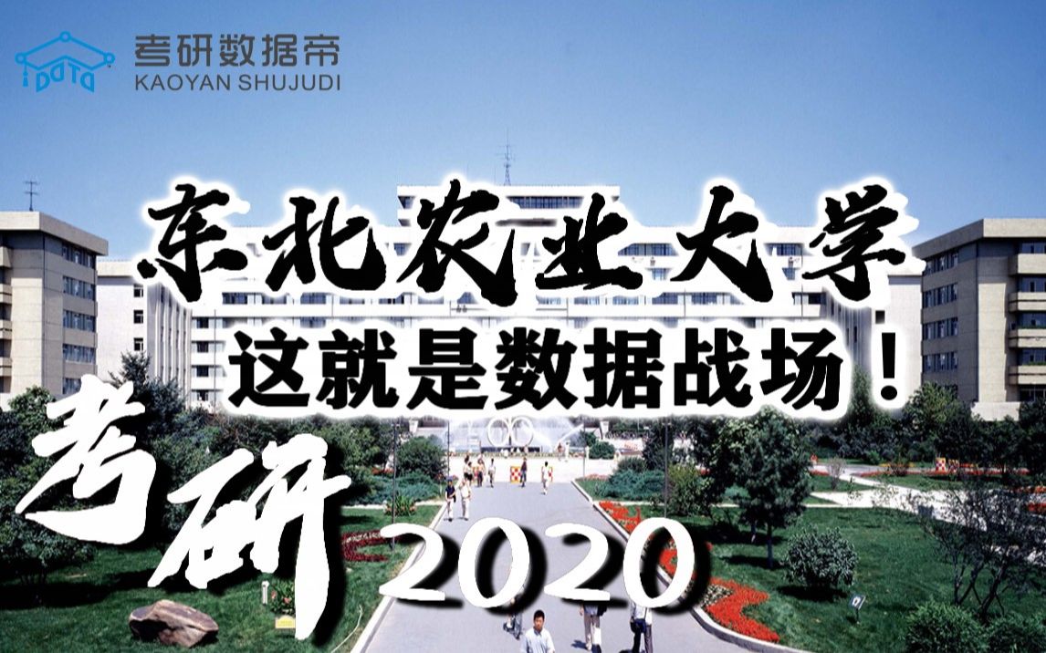拿下这考研数据的战场!东北农业大学专业数据分析!