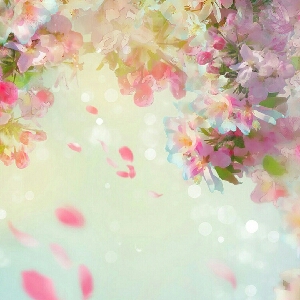 SolidCAM学习社群 