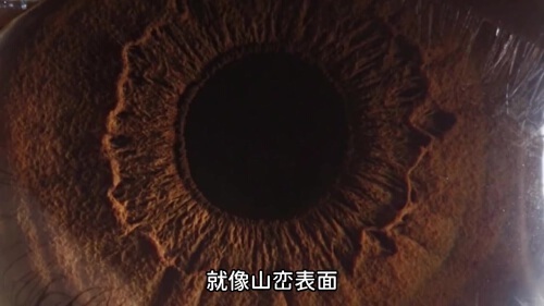 显微镜的眼睛是这样?得就像山峦表面