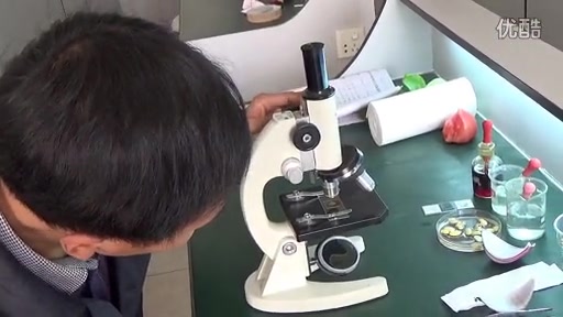 用显微镜观察洋葱鳞片叶表皮细胞装片