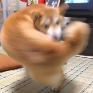 天桥底下摆摊的 