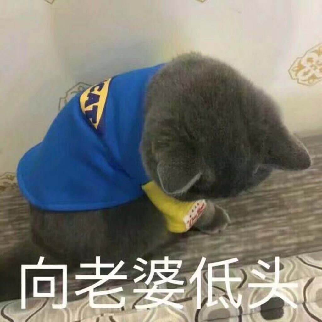 吧啦吧啦得得得 