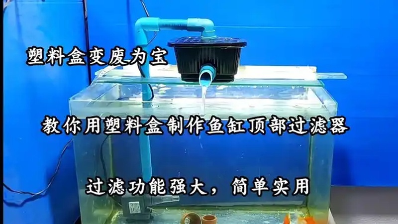教你用塑料盒制作鱼缸顶部过滤器,过滤功能强大,快速清除鱼缸!