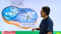 高三生物 遗传信息的表达肖老师 精华学校 学而思 北京四中 101中学...