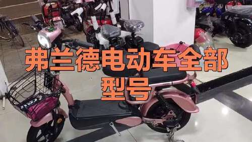 弗兰德全系电动车深度解析:哪款才是你的性价比之王?