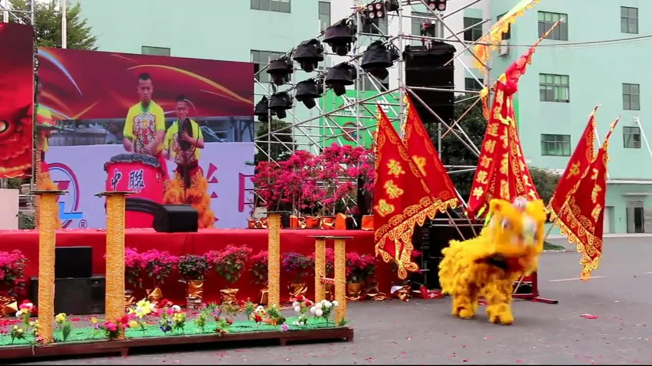最传统、专业的南狮 狮出佛山中联黄飞鸿 #广东醒狮