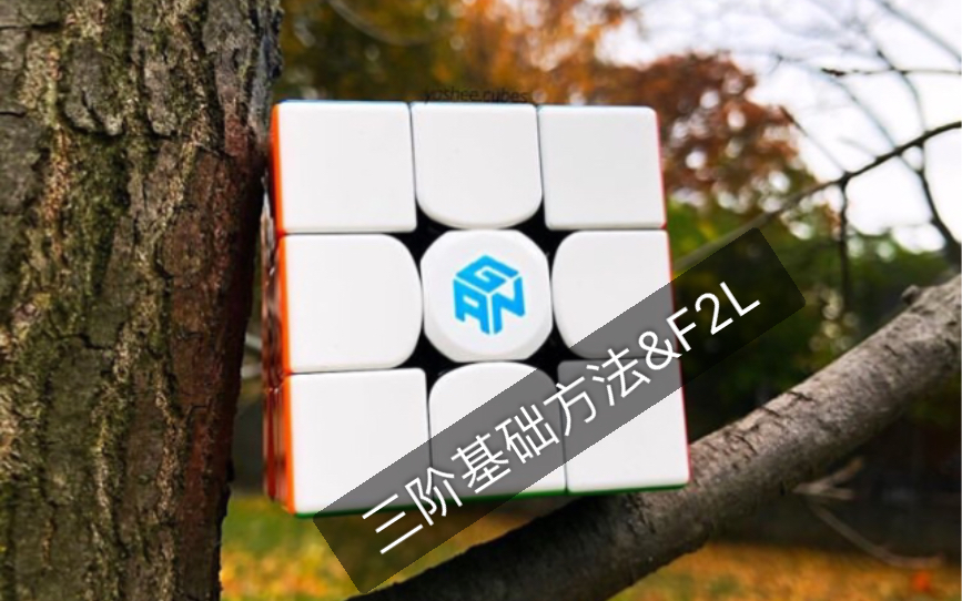 这期视频是关于如何还原F2L这一层的,公式放在简介里了…