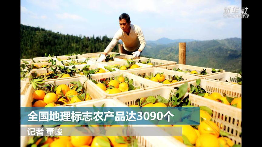 全国地理标志农产品达3090个