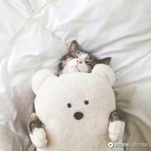 喜欢收集音乐的小喵 