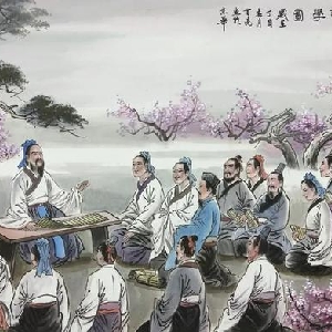 外环杨老师 