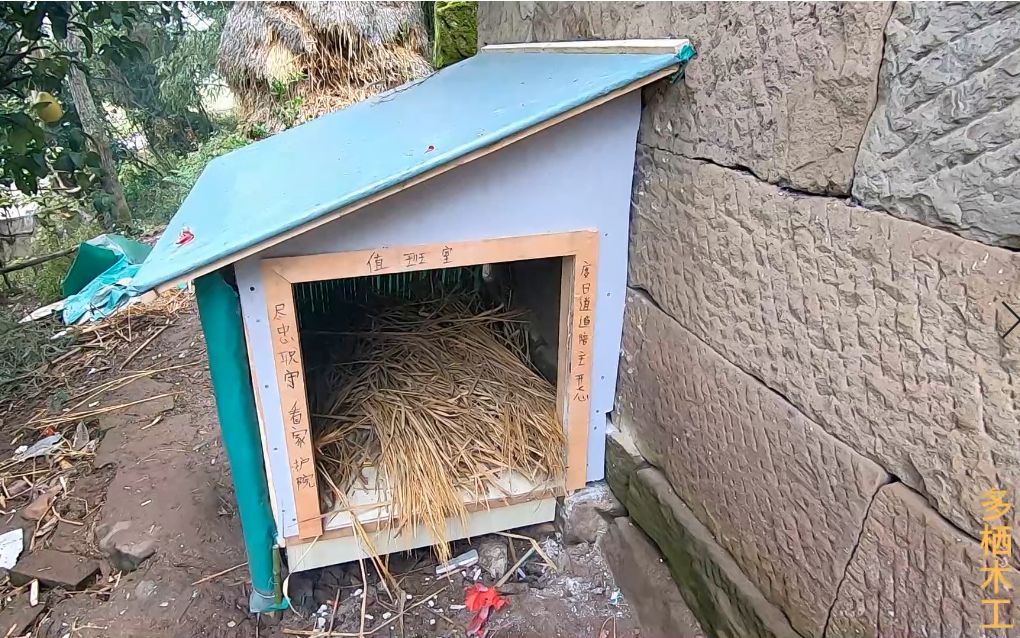 农村小伙给狗狗搭建狗窝，这样搭建的窝棚好看又牢固