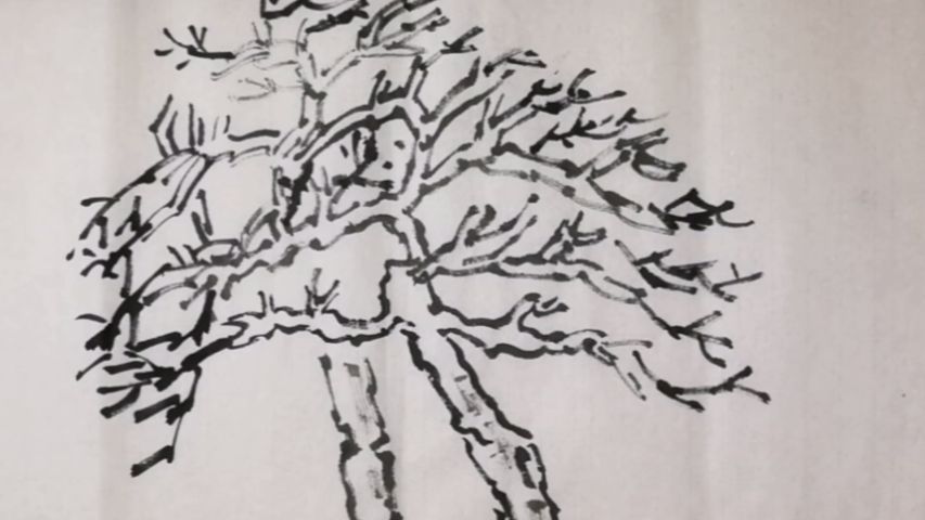 5.4.1松树画法步骤3,松树,树,国画快速入门