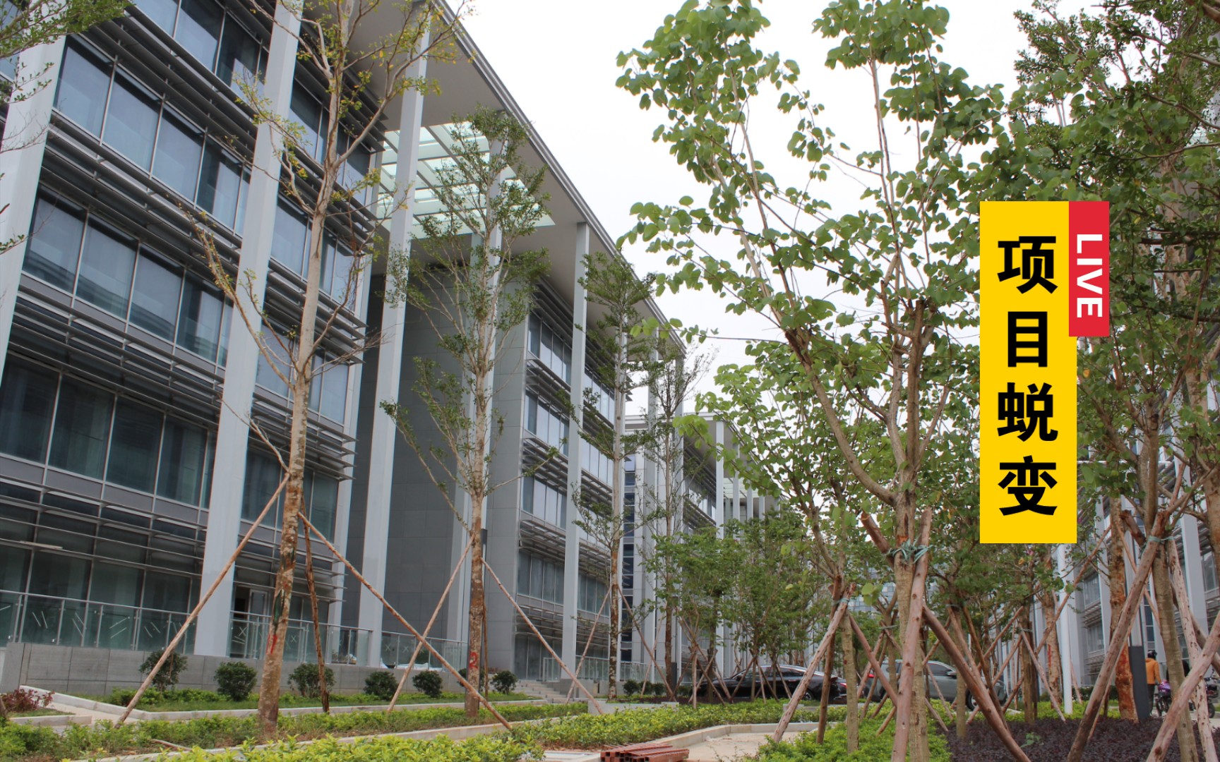 某项目全建设过程记录,从无到有,实现美丽蜕变。