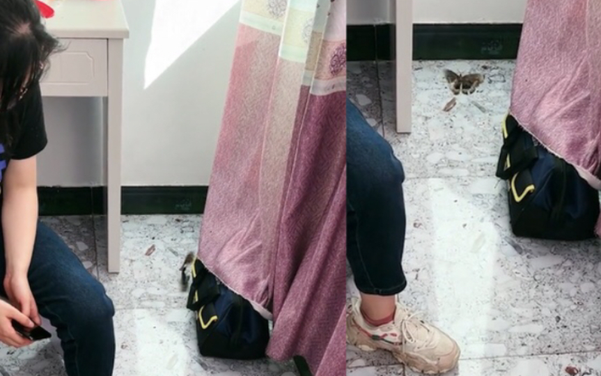 28岁男子骤然离世,一只蝴蝶突然飞进房间,绕着背包不愿离去