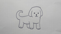 狗狗简笔画1窦老师教画画