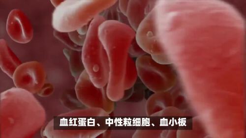 血常规报告单别再只看箭头!5分钟教你看懂关键指标和健康密码